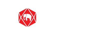 Senna Labs Case Studies: IT & Software Development